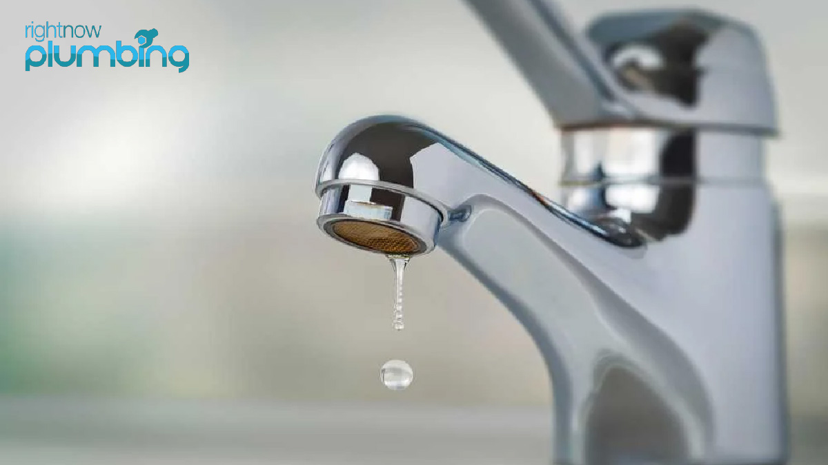 Eco-Friendly Plumbing Solutions: Save Water & Reduce Bills